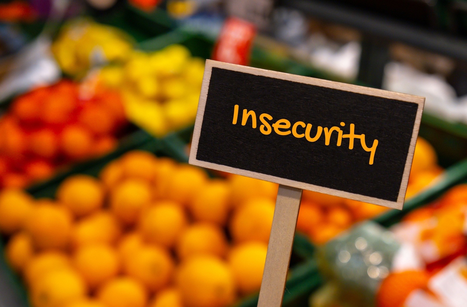 Causes of Food Insecurity | Regeneration Outreach Community